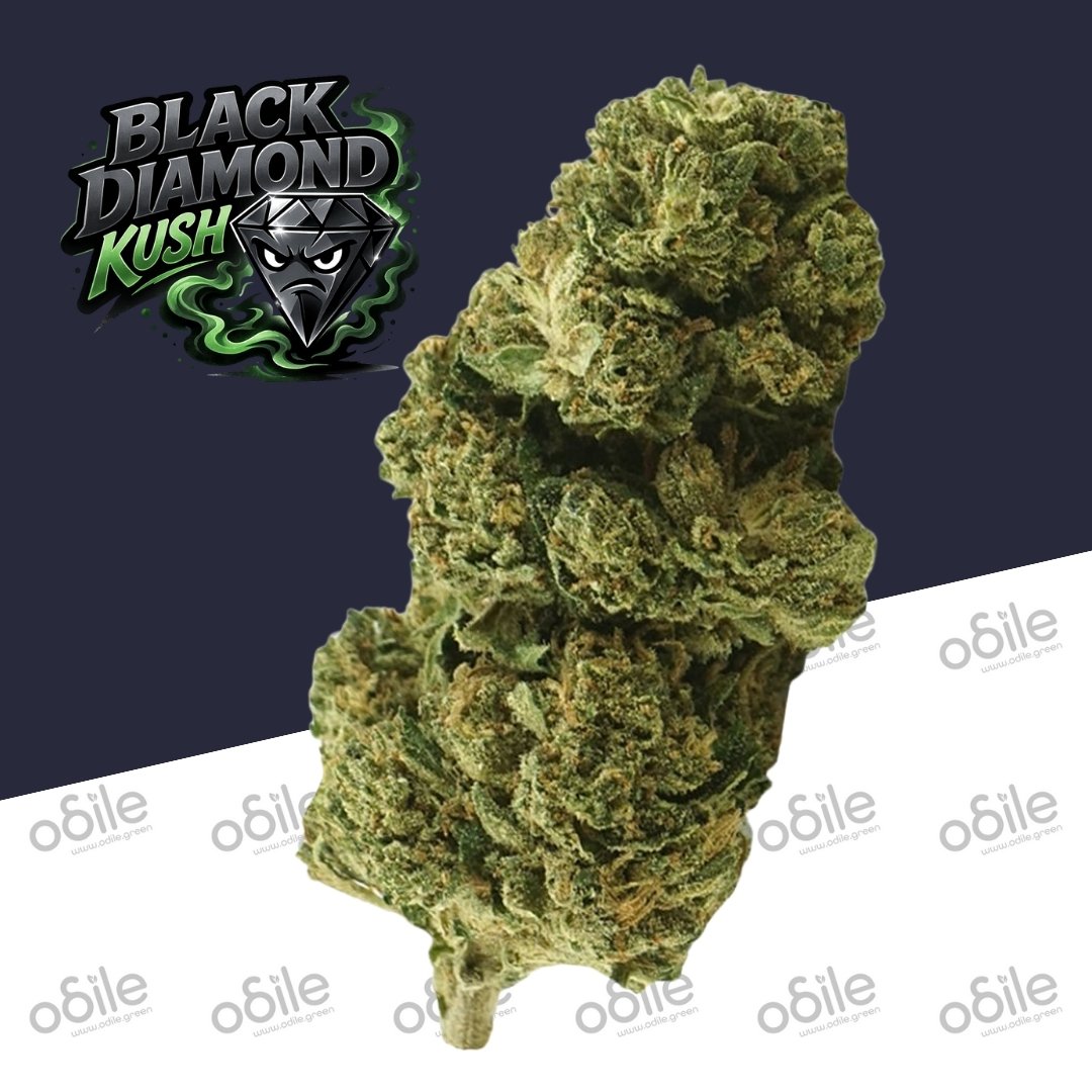 Premium Freeze-Dried Black Diamond Kush CBD Flowers Online - Odile.green
