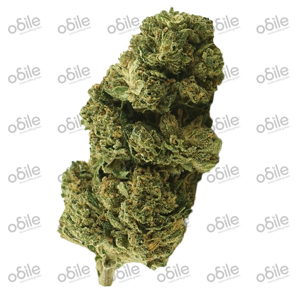 Premium Freeze-Dried Black Diamond Kush CBD Flowers Online - Odile.green
