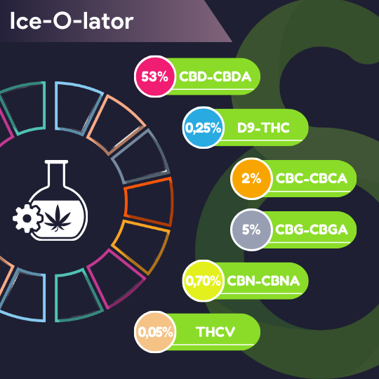 Wholesale Ice O Lator CBD Hash | Finest Quality Hash - Odile.green