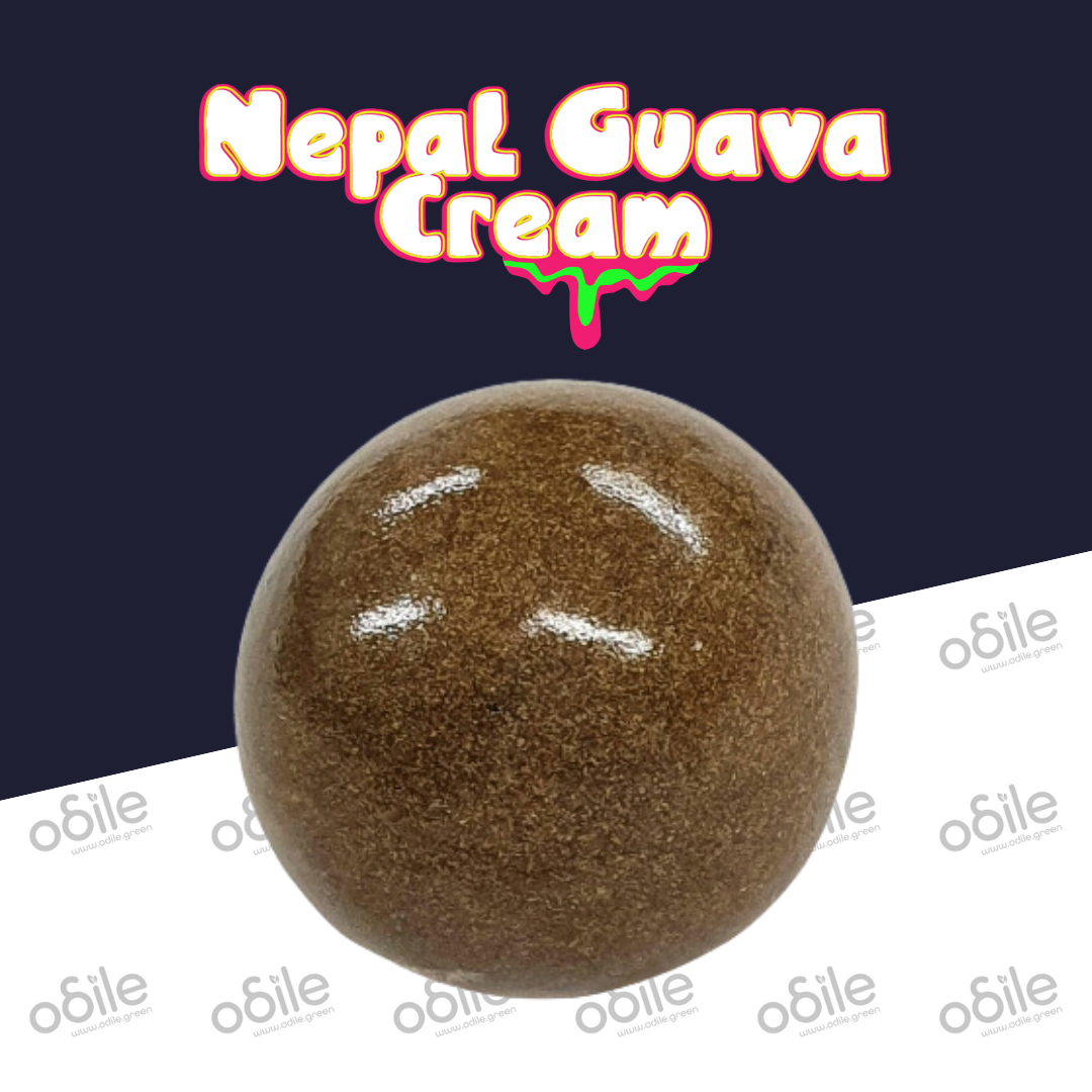 Nepal Guava Cream Hash - Mélange de CBD, CBN et CBG de première qualité ...
